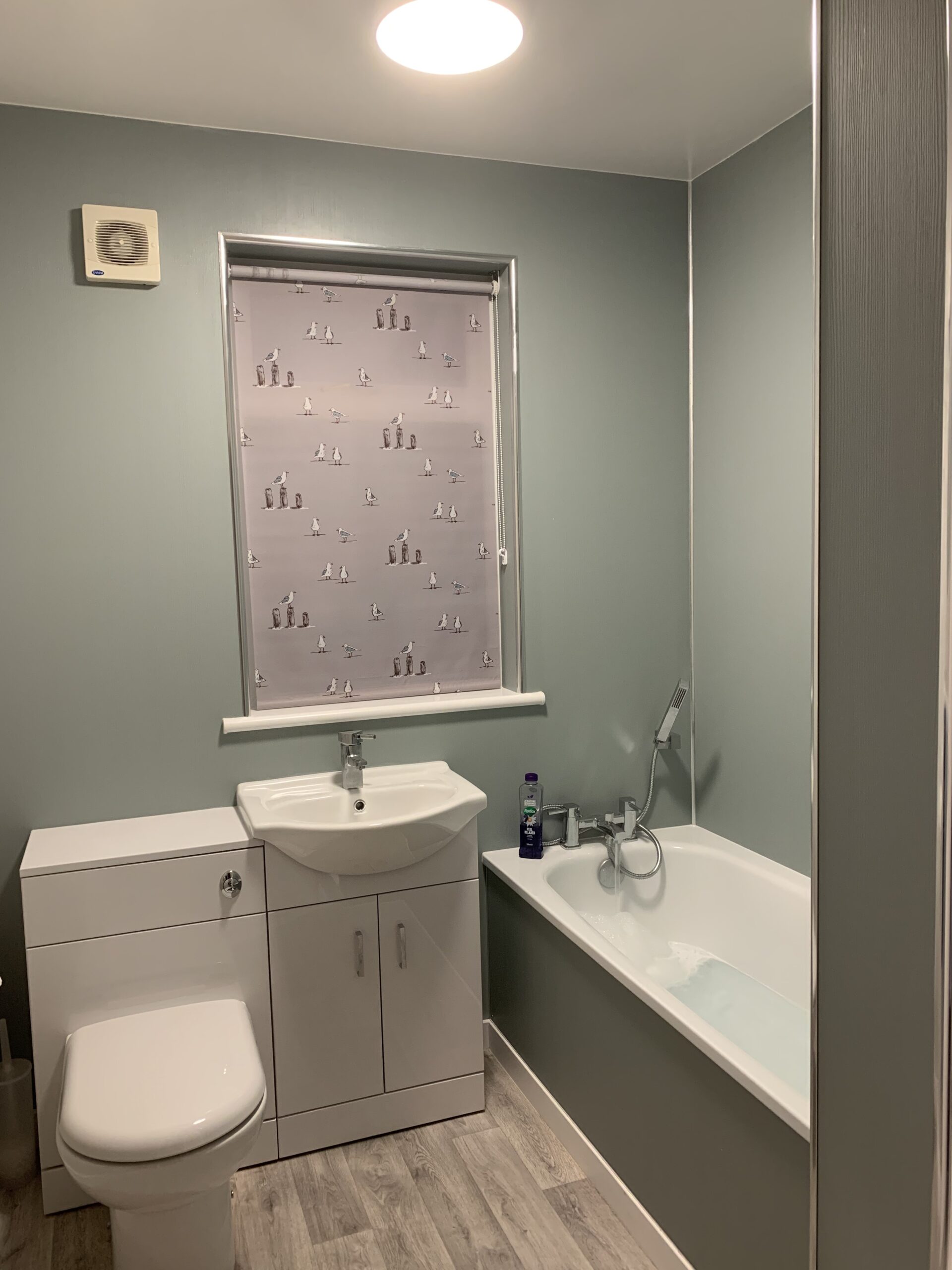 About Lichen – Lichen Cottage on Carrick Shore